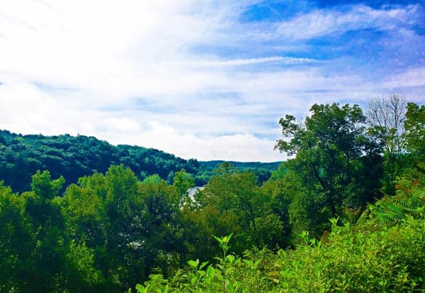 Mindful Meet & Mingle- Open to all Singles | AVL GO | AVL GO